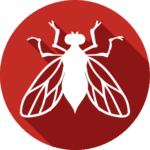 Pest Control Lynchburg VA- Dodson Brothers